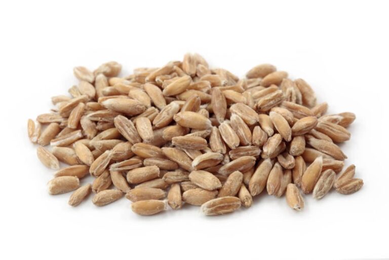 The Appeal of Ancient Wheat: Uncover the Magic of Spelt, Kamut, Einkorn ... The Appeal of Ancient Wheat: Uncover the Magic of Spelt, Kamut, Einkorn ...